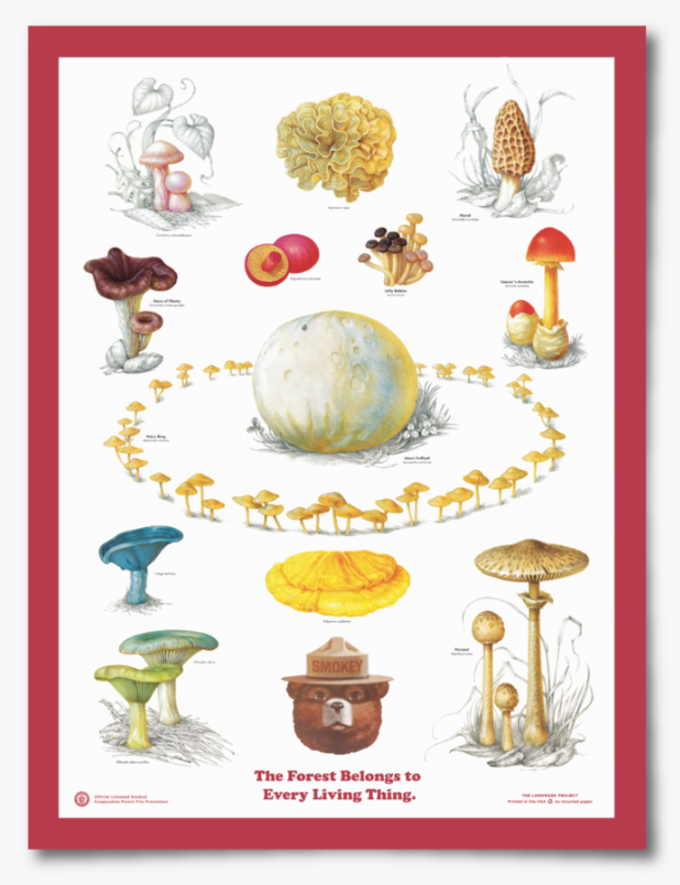 Posters by Landmark Project | ACME FINE GOODS